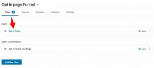 Create an Opt in Page that Converts: Complete Opt-in Page Guide 2022