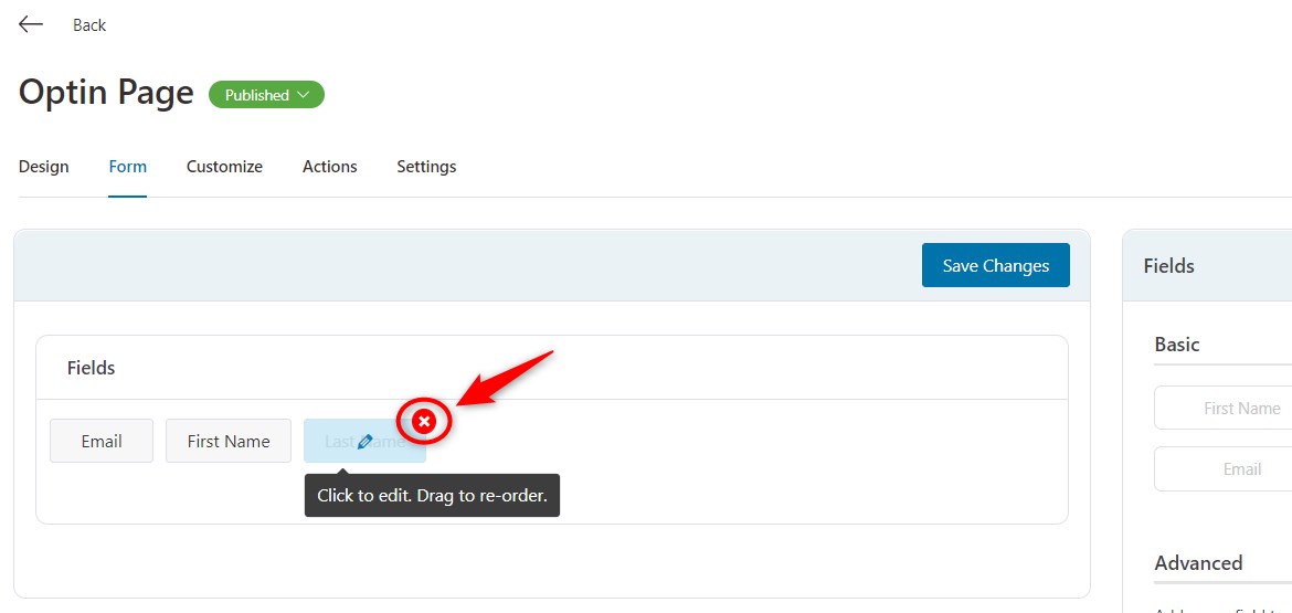 Customizing Form Fields - FunnelKit